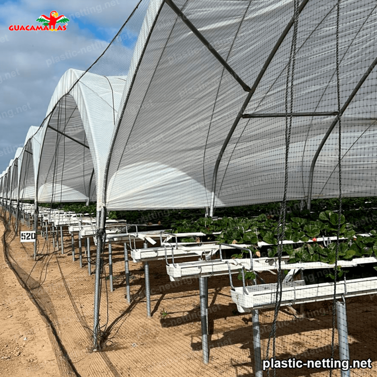 3 most popular types of plastic nets on the market. - Plastic Netting